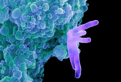 Eureka Archives - Eureka Blog