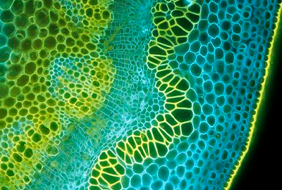 Multiagent Systems Archives - Eureka Blog