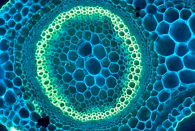 Eureka Blog - Get Technical Ideas For Your R&D Challenges