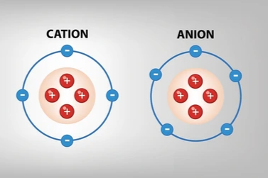 Cation vs. Anion: The Ultimate Guide To Their Differences
