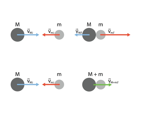 Elastic vs. Inelastic Collisions: Key Differences Explained