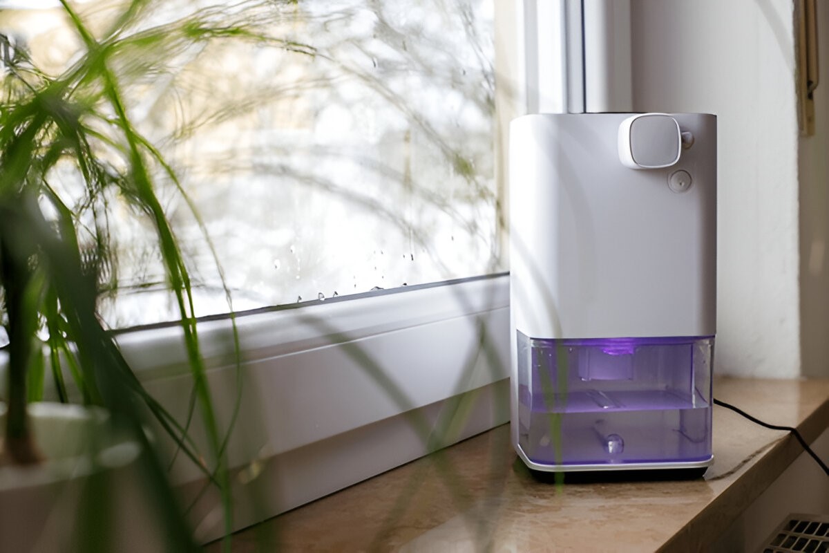 Dehumidifier Explained: Why You Need One and How It Helps