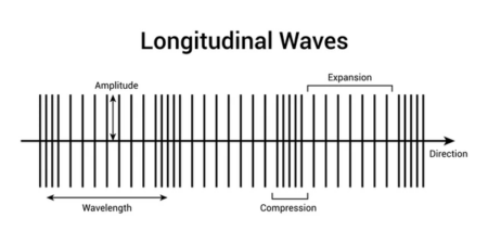 What Is a Longitudinal Wave? Definition, Examples, and Properties
