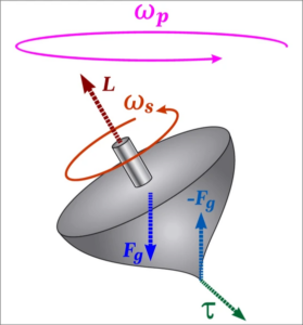 Conservation of Angular Momentum: Why It Matters in Physics