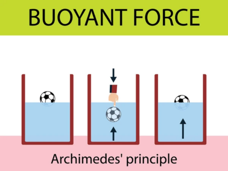 Buoyant Force: The Science Behind Floating Objects