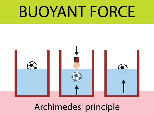 Buoyant Force: The Science Behind Floating Objects