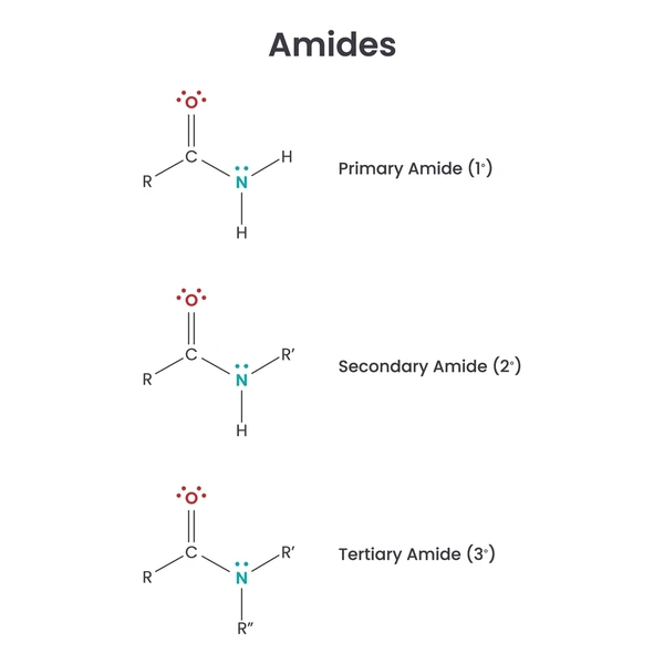 Amide vs Amine: Functional Groups, Reactions, and Uses