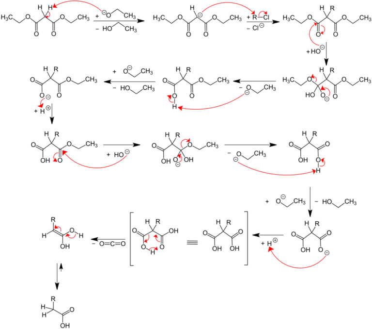 Malonic Ester Synthesis: Steps, Mechanism, and Examples Malonic Ester Synthesis: Steps, Mechanism, and Examples