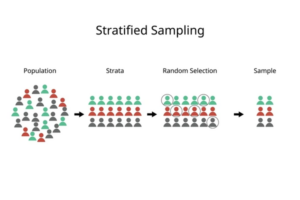 Stratified Sampling in Research: When and How to Use It