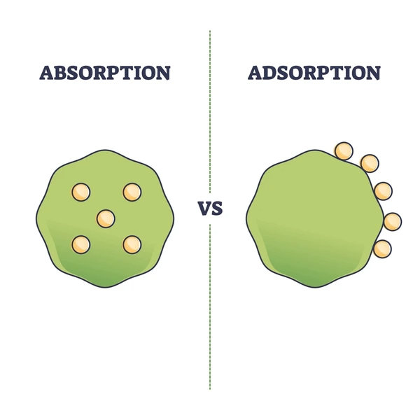 Adsorption vs. Absorption: Definitions, Mechanisms, and Uses