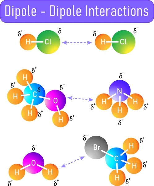 What Are Dipole-Dipole Forces?